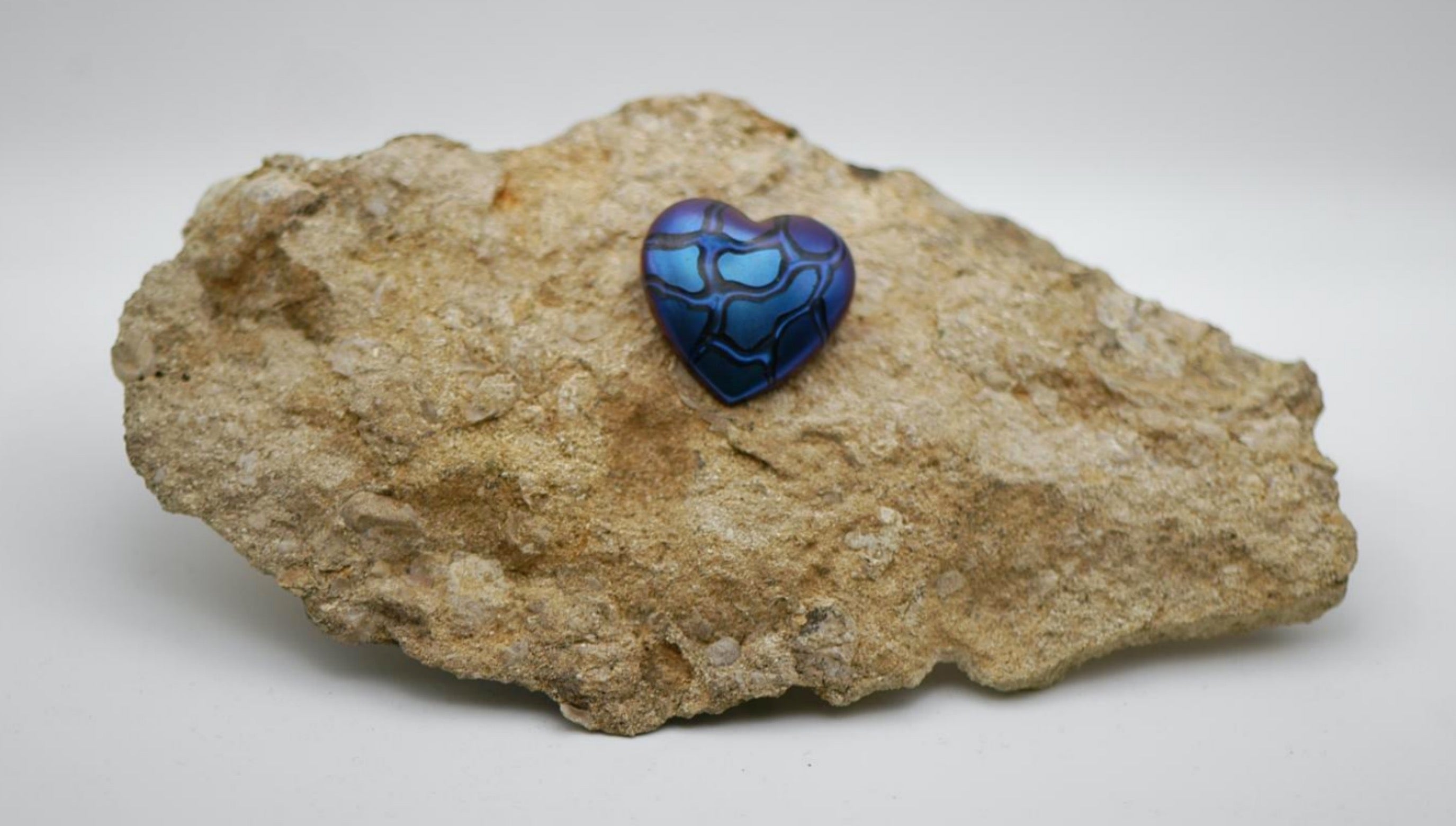 Oceanus V – Picturesque Warwick